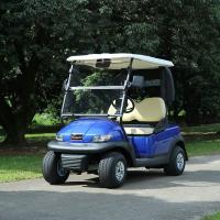China CE Approved 2 Passenger Electric Golf Cart 48V 25km/h with Aluminum Chassis for sale