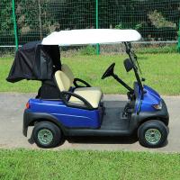 China CE Approved 2 Passenger Electric Golf Cart 48V 25km/h with Aluminum Chassis for sale