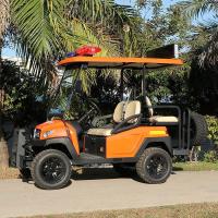 China 350A Electric Off-Road Golf Cart 4WD Hunting Buggy with 48V System and 300kg Load Capacity for sale