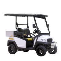 China M1S2 EEC Certificated 48V Battery Powered Golf Cart Buggy For Hotel for sale