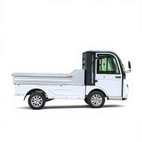 China Electric Vehicle with Cargo for 2 Passengers Loading Goods for sale