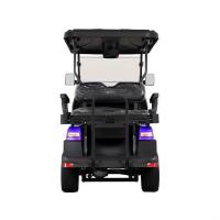 China 48V 5KW 4 Passenger Electric Hunting Cart Golf Cart 80-100km Range for sale