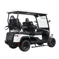 China 4 Seats Facing Forward Electric Buggy With Sound System for sale