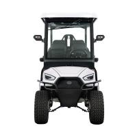 China 4 Seats Facing Forward Electric Buggy With Sound System for sale