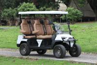 China Electric Golf Carts with Spacious Dimensions and 4 Passenger Capacity Providing Comfortable and Transportation Solutions for sale