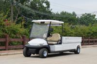 China Outdoor Two Seater Electric Golf Carts With Utility Cargo  Curtis 350A Controller for sale