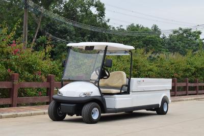 China Outdoor Two Seater Electric Golf Carts With Utility Cargo  Curtis 350A Controller for sale