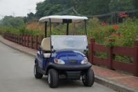 China CE Approved 2 Passenger Electric Golf Cart 48V 25km/h with Aluminum Chassis for sale
