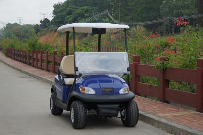 China CE Approved 2 Passenger Electric Golf Cart 48V 25km/h with Aluminum Chassis for sale