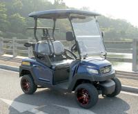 China Aluminum Chassis Electric Golf Cart 48V 3.7KW Motor with 80-100KM Range and 25 km/h Speed for sale