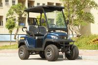 China 48V Electric Golf Buggy for 2 Passengers with 80-100km Range and 25 km/h Speed | CE Certified for sale