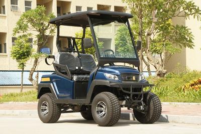 China 48V Electric Golf Buggy for 2 Passengers with 80-100km Range and 25 km/h Speed | CE Certified for sale