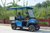 China Electric 2 Seater Golf Cart 48V 3.7KW Curtis Controller 80-100km Range for sale