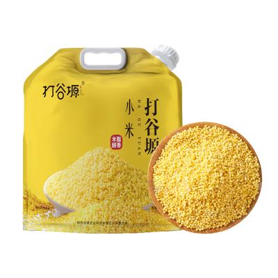 China Premium Yellow Millet 2.5kg for sale