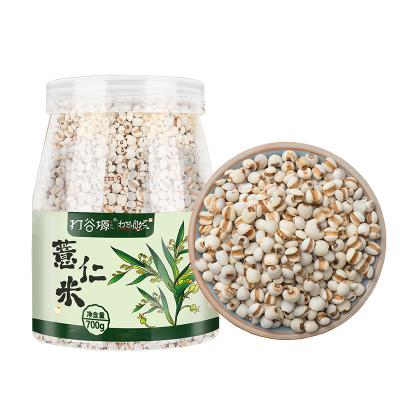 China Premium Job’s Tears 700g for sale
