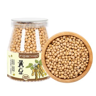 China Premium Soybean 700g for sale