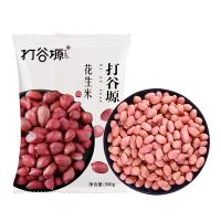 China Premium Peanut 500g for sale