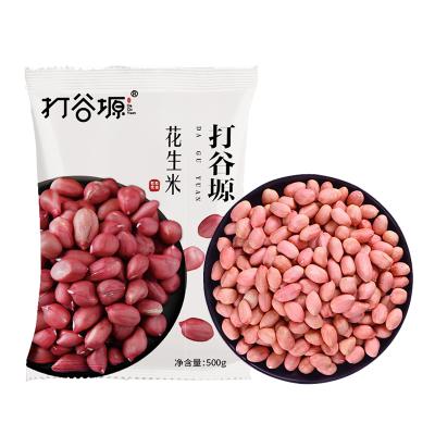 China Premium Peanut 500g for sale