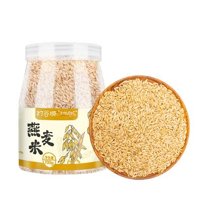 China Premium Oat Groat 700g for sale