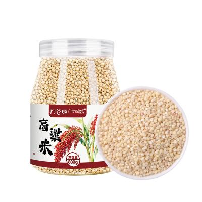 China Premium Sorghum Grain 800g for sale
