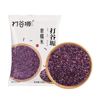 China Premium Purple Glutinous Rice 500g for sale