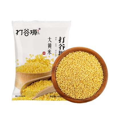 China Premium Glutinous Millet 500g for sale