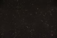 China 73 Inch Black Quartz Stone Countertop for Rectangular Feathered White Sinks 3cm Thick for sale