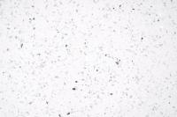 China White Mirror Artificial Quartz Slab 3200x1800mm for Vanity Island Bench Top for sale