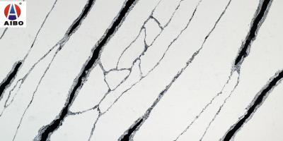 China Marble Quartz Kitchen Countertops Worktops Panda White Color 3200*1600mm for sale
