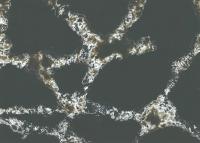 China High Tenacity Honed Black Quartz Countertops 93% Natural Quartz 3200x1800mm Slabs for sale
