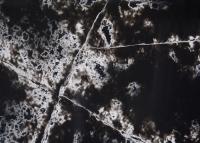 China Artificial Quartz Slabs Black Ice For  Bathroom Vanity Top for sale