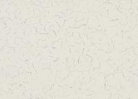 China Polished White Quartz Kitchen Worktops 6-30mm Thickness with SGS NSF Certificate | 2.45g/cm³ Density for sale