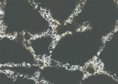 China High Density Black Quartz Stone Worktop - 2.45g/cm³ Density, 6.5 Mohs Hardness, Weather Resistant Surface for sale