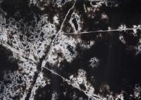 China Artificial Quartz Slabs Black Ice For  Bathroom Vanity Top for sale
