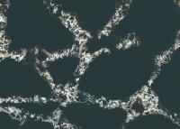 China Calacatta Quartz Stone Kitchen Countertop 93% Quartz 7% Resin 3200x1800mm Impact Resistant for sale