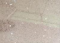 China Professional Artificial Quartz Stone Countertops 3200x1600mm with 7.0 Mohs Hardness Rating for sale
