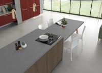 China Polished Quartzite Countertop Tiles 12mm-30mm Thickness in 200+ Colors for Kitchen & Bathroom Surfaces for sale