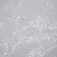 China White Snowflake Pattern Grey Calacatta Quartz Stone 3000*1500MM for sale