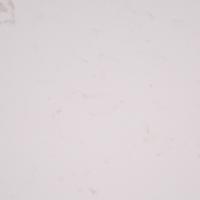 China Stain Resistant White  Artificial Quartz Slabs With Kitchen Countertop for sale