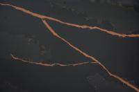 China Caesarstone Sunshine Coast Artificial Quartz Countertops 3000x1600mm for sale