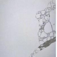 China Custom Size 25MM White Calacatta Quartz Stone With Big Grey Veins for sale