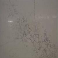 China White Stellar 20MM Calacatta Quartz Stone For Countertop Table Top for sale