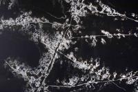 China Black Calacata Artificial Quartz Kitchen Countertop 6-30mm Thickness 3000x1800mm Size Options for sale
