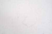 China Cararra Grey Quartz Stone Resistance Scratch Easy Clearing For Indoor Projects for sale
