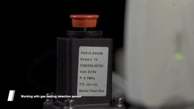 China 12v Gas solenoid valve for shut off the home hotel gas supply for sale