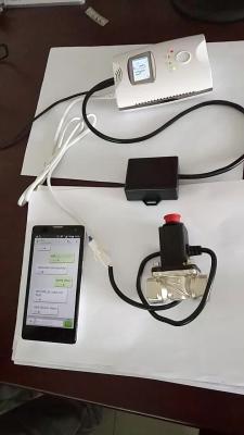China Smart Home safe sensor GPRS Natural Gas Alarm with gas leakage display for sale