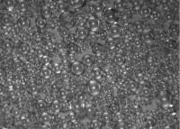 China Hollow Glass Microspheres Hollow Glass Bubbles Hollow GlassBeads 0.32g/Cc for sale