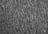 China Hollow Glass Microspheres Hollow Glass Bubbles Hollow Glassbeads 0.46g/Cc for sale