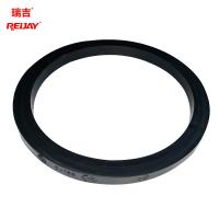 China Hydraulic Oil Fuel Tank Seal Corrosion Resistant Rod Seal 20mm 30mm REIJAY for sale