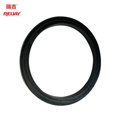 China Hydraulic Oil Fuel Tank Seal Corrosion Resistant Rod Seal 20mm 30mm REIJAY for sale